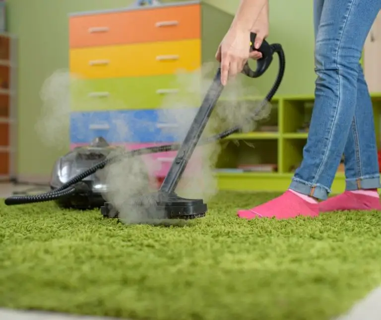 How to Get Rid Of Mice Mites?