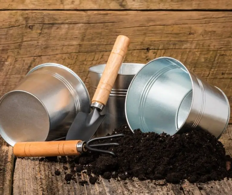 How to Store Potting Soil?