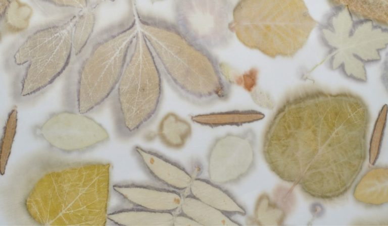 The Best Plants For Eco Printing - Beautiful Designs!