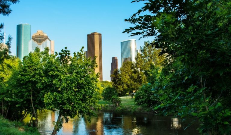 Top 10 Best Landscaping Plants For Houston Climate