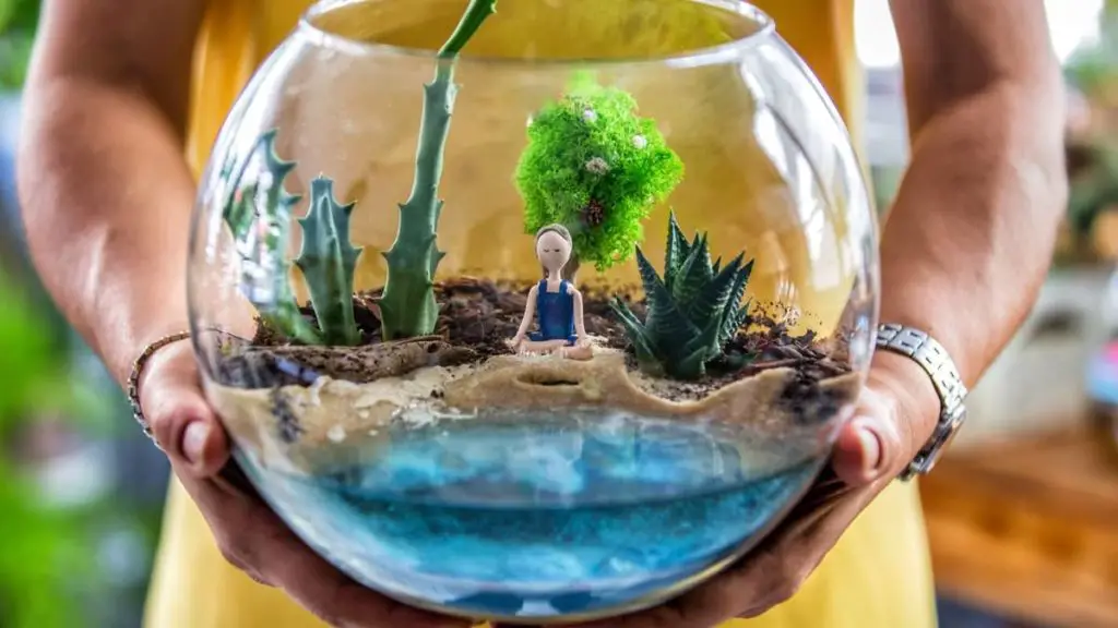 9 Best Plants For Enclosed Terrariums