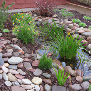 Prevent Flooding with Rain Gardens: A Natural Approach